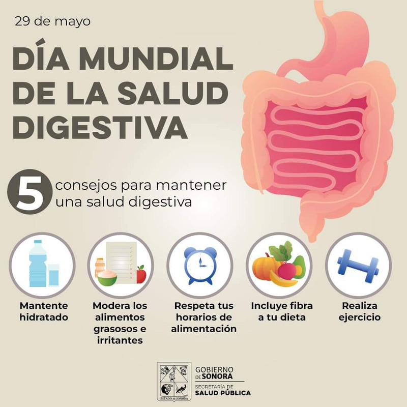 Salud Sonora recomienda mantener una alimentación sana y evitar problemas digestivos - MasMedio